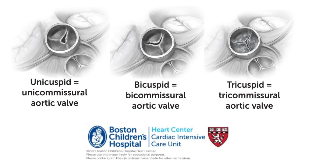 Critical AS – Online supplement