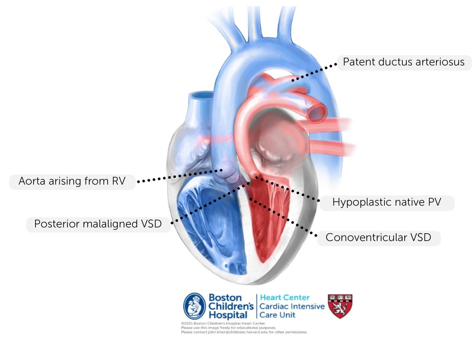 dTGA/VSD/PS – Online supplement